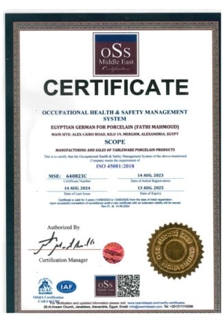 International – Fathy Mahmoud